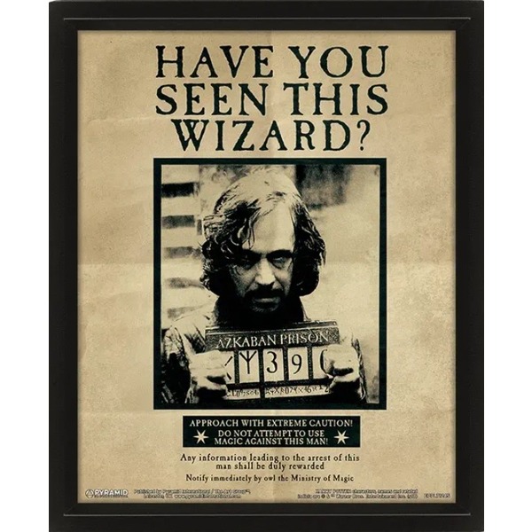 Harry Potter – Sirius Black 3D Lenticular Poster – Wizards & Wonders